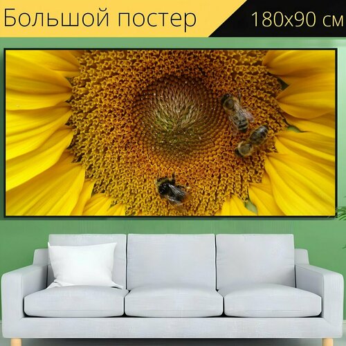 Большой постер "Подсолнух, пчелы, цветочная пыльца" 180 x 90 см. для интерьера