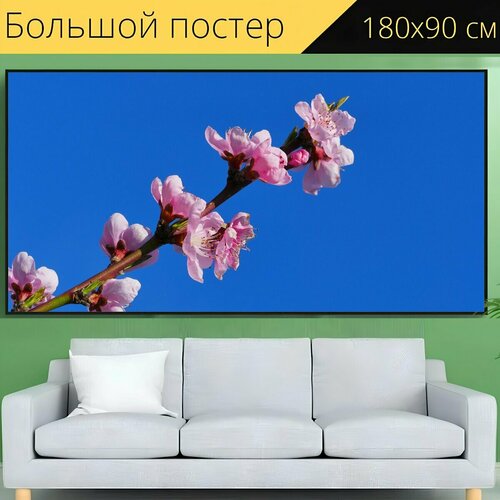 Большой постер "Персик, цветы, весна" 180 x 90 см. для интерьера