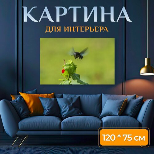 Картина на холсте "Пчела, насекомое, цветок" на подрамнике 120х75 см. для интерьера