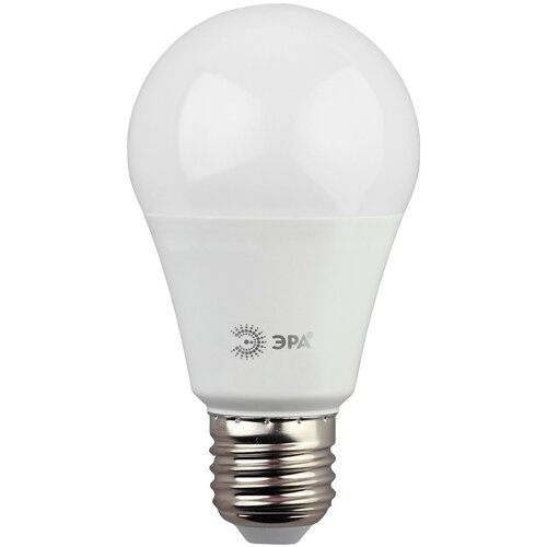 Лампа светодиодная ЭРА Б0020554, E27, P45, 7 Вт, 4000 К