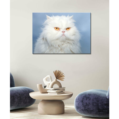 Картина - кошка, персидская кошка, домашняя кошка, ласковая кошка, кот (291) 30х40