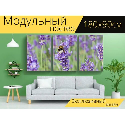 Модульный постер "Лаванда, пчела, насекомое" 180 x 90 см. для интерьера