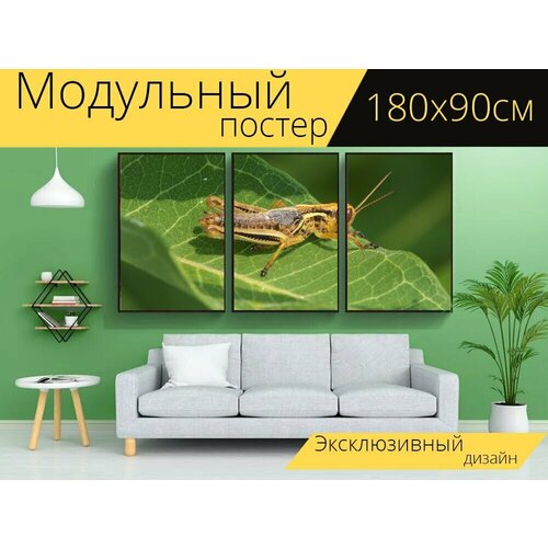 Модульный постер "Кузнечик, насекомое, зеленый" 180 x 90 см. для интерьера
