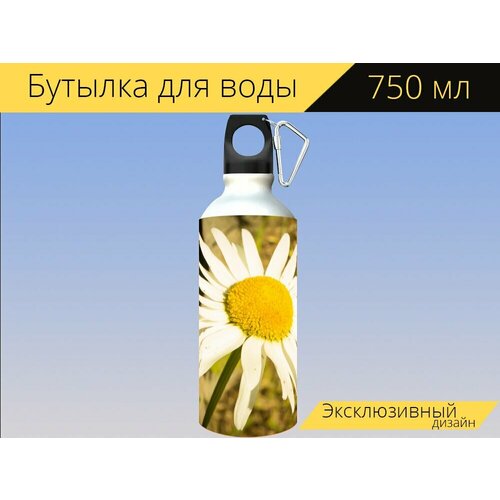 Бутылка фляга для воды "Цветы, ромашка, лето" 750 мл. с карабином и принтом