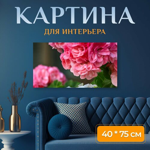 Картина на холсте "Цветок, садовый цветок, летний цветок" на подрамнике 75х40 см. для интерьера