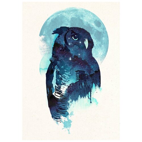 Интерьерный постер на стену картина для интерьера в подарок плакат "Midnight Owl" размера 40х50 см 400*500 мм репродукция без рамы в тубусе