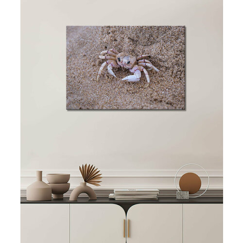 Картина - Краб, крабы, крабик, морской краб, красивый краб, большой краб, краб на песке (23) 60х80