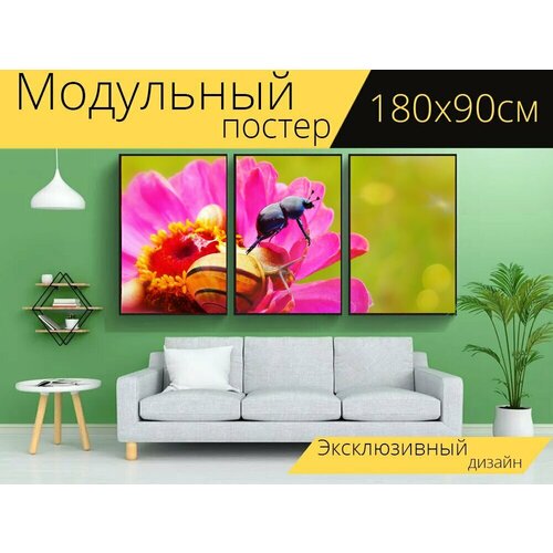 Модульный постер "Лесной жук, жук, моллюски" 180 x 90 см. для интерьера