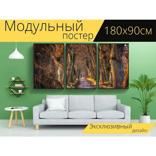 Модульный постер "Природа, деревья, пейзаж" 180 x 90 см. для интерьера