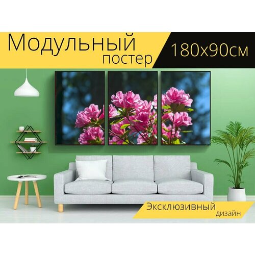 Модульный постер "Розовые азалии в озаркс, расцветает, азалия" 180 x 90 см. для интерьера