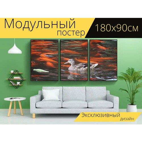 Модульный постер "Кряква, koi рыбы, пруд" 180 x 90 см. для интерьера