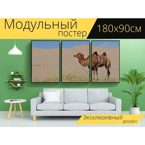 Модульный постер "Монголия, пустыня, верблюд" 180 x 90 см. для интерьера