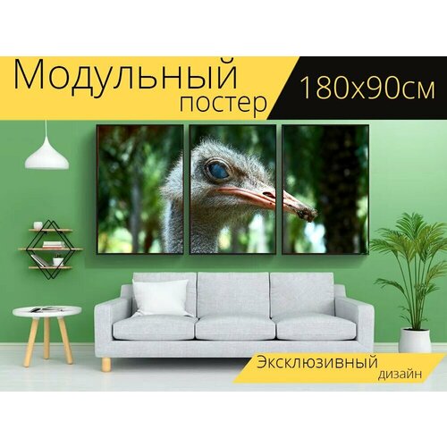 Модульный постер "Страус, птица, портрет" 180 x 90 см. для интерьера