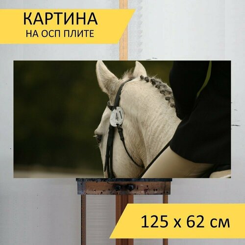 Картина на ОСП 125х62 см. "Лошадь, белый, серый" горизонтальная, для интерьера, с креплениями