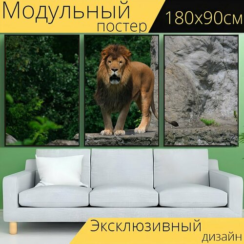 Модульный постер "Лев, животное, природа" 180 x 90 см. для интерьера
