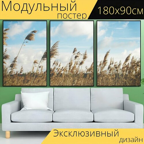 Модульный постер "Тростник, травы, ветер" 180 x 90 см. для интерьера