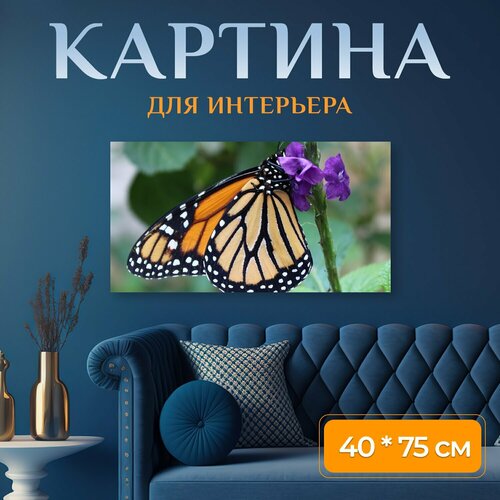 Картина на холсте "Природа, бабочка, на открытом воздухе" на подрамнике 75х40 см. для интерьера