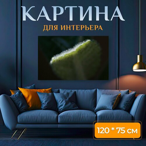 Картина на холсте "Мята, завод, зеленый" на подрамнике 120х75 см. для интерьера
