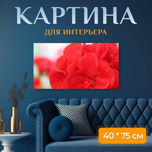 Картина на холсте "Цветок, красный цветок, романтика" на подрамнике 75х40 см. для интерьера