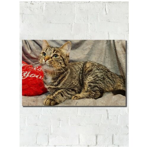 Картина интерьерная на рельефной доске Животные (кот, котик) - 657