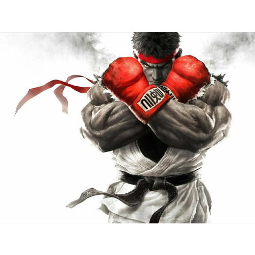 Плакат, постер на холсте Street Fighter/Стрит Файтер/игровые/игра/компьютерные герои персонажи. Размер 30 х 42 см