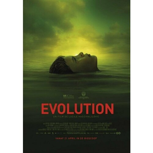Плакат, постер на бумаге Эволюция (Evolution), Люсиль Адзиалилович. Размер 21 х 30 см