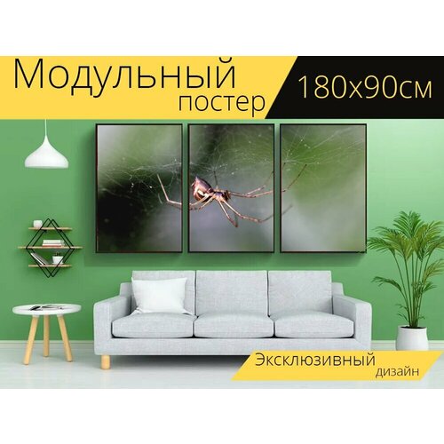 Модульный постер "Паук, паутина, паучий шелк" 180 x 90 см. для интерьера