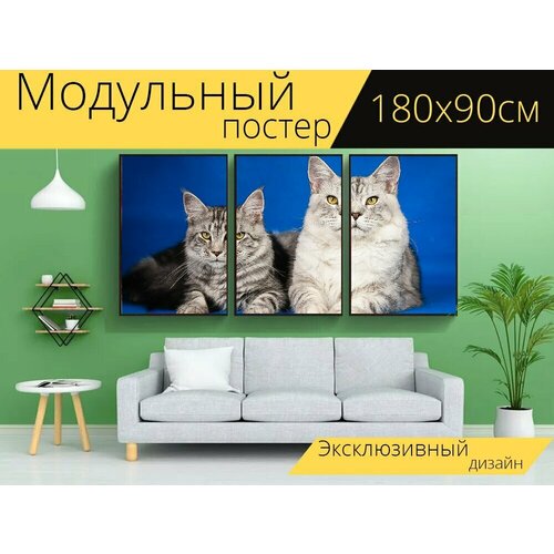 Модульный постер "Мейн кун, котята, милые" 180 x 90 см. для интерьера