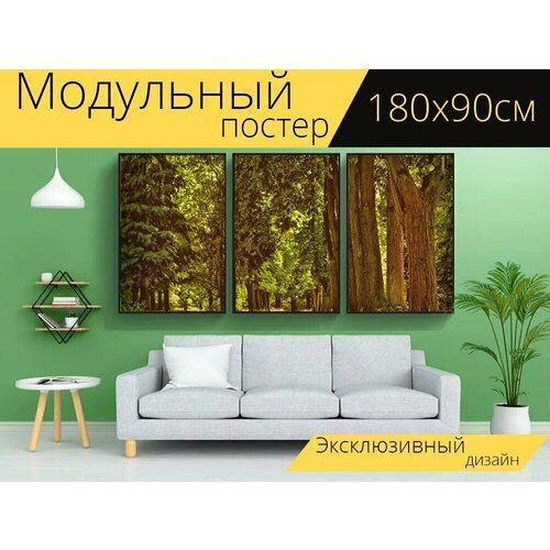 Модульный постер "Проспект, деревья, парк" 180 x 90 см. для интерьера
