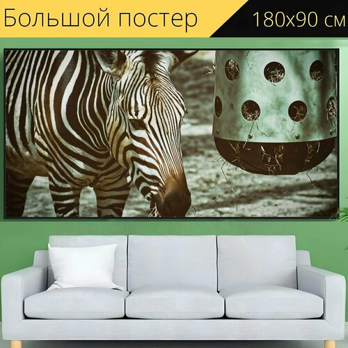 Большой постер "Зебра, дикое животное, зоопарк" 180 x 90 см. для интерьера