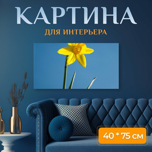 Картина на холсте "Нарцисс, цветок, весна" на подрамнике 75х40 см. для интерьера
