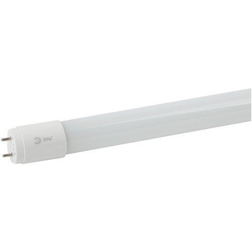Лампа светодиодная ЭРА STD LED T8-20W-865-G13-1200mm G13 поворотный 20 Вт трубка стекло холодный дневной свет пенорукав, 1шт