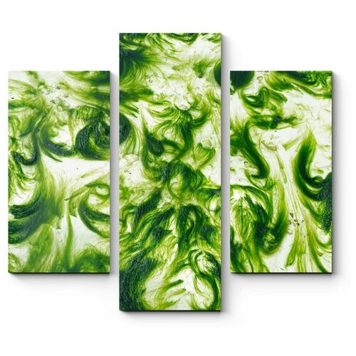Модульная картина Филиппинские водоросли 70x63