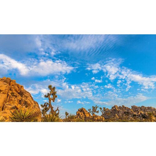 Картина на холсте 60x110 Альянс Лес "Калифорния США Небо Природа" на подрамнике / интерьер/ декор