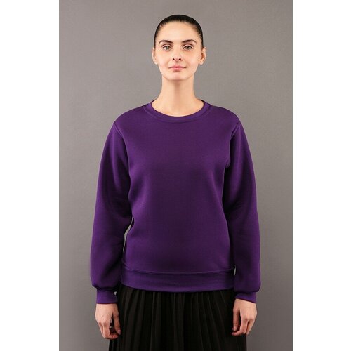 Свитшот Магазин Толстовок, размер S-40-42-Woman-(Женский), фиолетовый