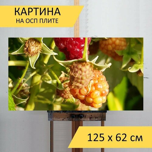 Картина на ОСП 125х62 см. "Малина, фрукты, растения" горизонтальная, для интерьера, с креплениями