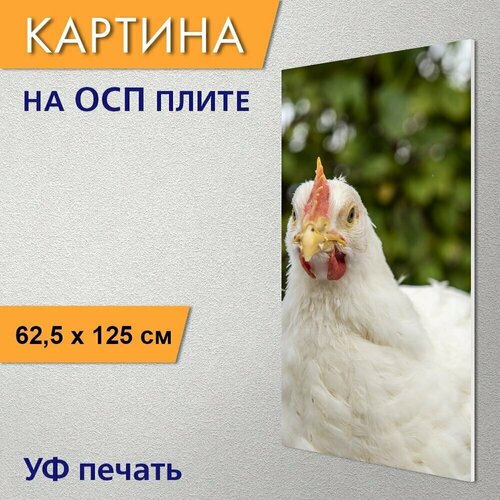 Вертикальная картина на ОСП "Курица, еда, яйцо" 62x125 см. для интерьериа