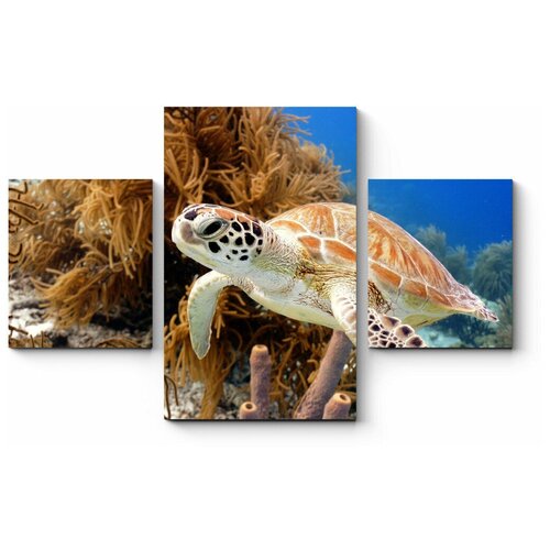 Модульная картина Черепаха, плывущая в коралловом рифе 110x72