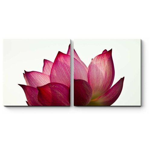 Модульная картина Розовый цветок лотоса100x50