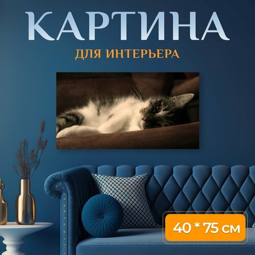 Картина на холсте "Кошка, милый, домашний питомец" на подрамнике 75х40 см. для интерьера