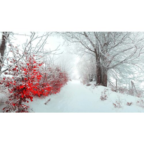 Картина на холсте 60x110 LinxOne "Зима Снег Деревья дорожка Природа" интерьерная для дома / на стену / на кухню / с подрамником
