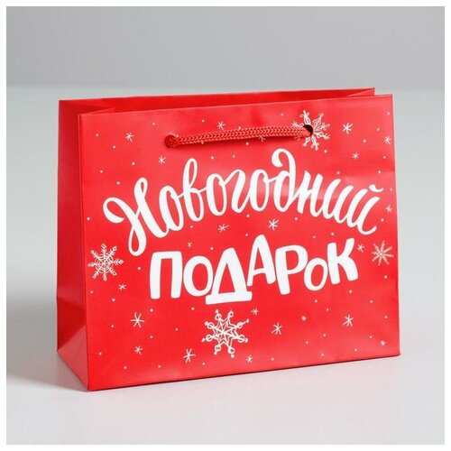 Пакет ламинированный горизонтальный «Новогодний подарок», S 5.5 см × 15 см × 12 см
