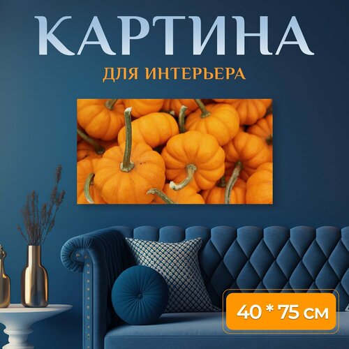 Картина на холсте "Тыква, овощи, питание" на подрамнике 75х40 см. для интерьера