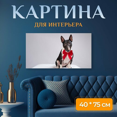 Картина на холсте "Собака, миниатюрный бультерьер, подарок" на подрамнике 75х40 см. для интерьера