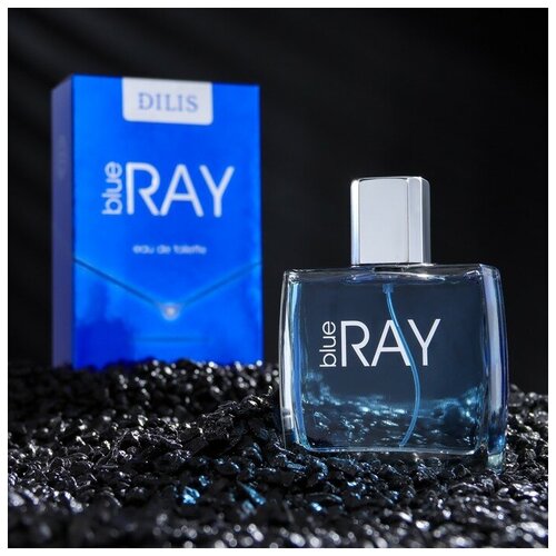 DILIS PARFUM Туалетная вода мужская Blue Ray, 100 мл