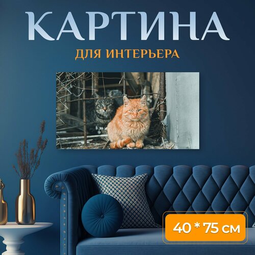 Картина на холсте "Кошки, бездомные коты, полосатый" на подрамнике 75х40 см. для интерьера