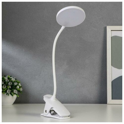 Лампа настольная Risalux сенсорная, LED, 4 Вт, USB, АКБ, 3000-6000 К, белый, 9,5*12*44 см