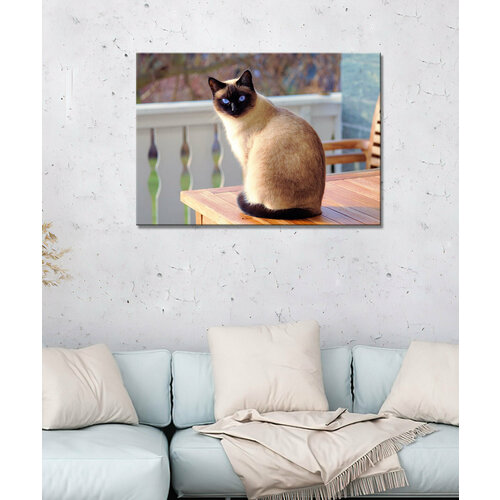 Картина - кошка, сиамская кошка, домашняя кошка, ласковая кошка, короткошерстная кошка, кот (98) 40х60