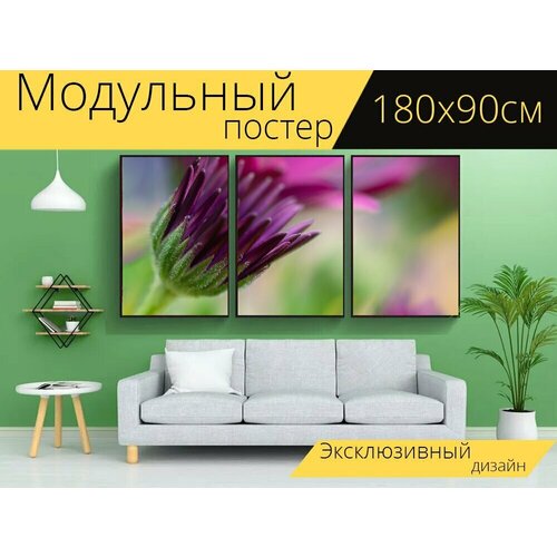 Модульный постер "Цветок, цвести, маргарита" 180 x 90 см. для интерьера