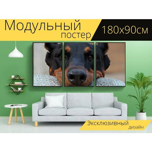 Модульный постер "Доберман, голова, собака" 180 x 90 см. для интерьера